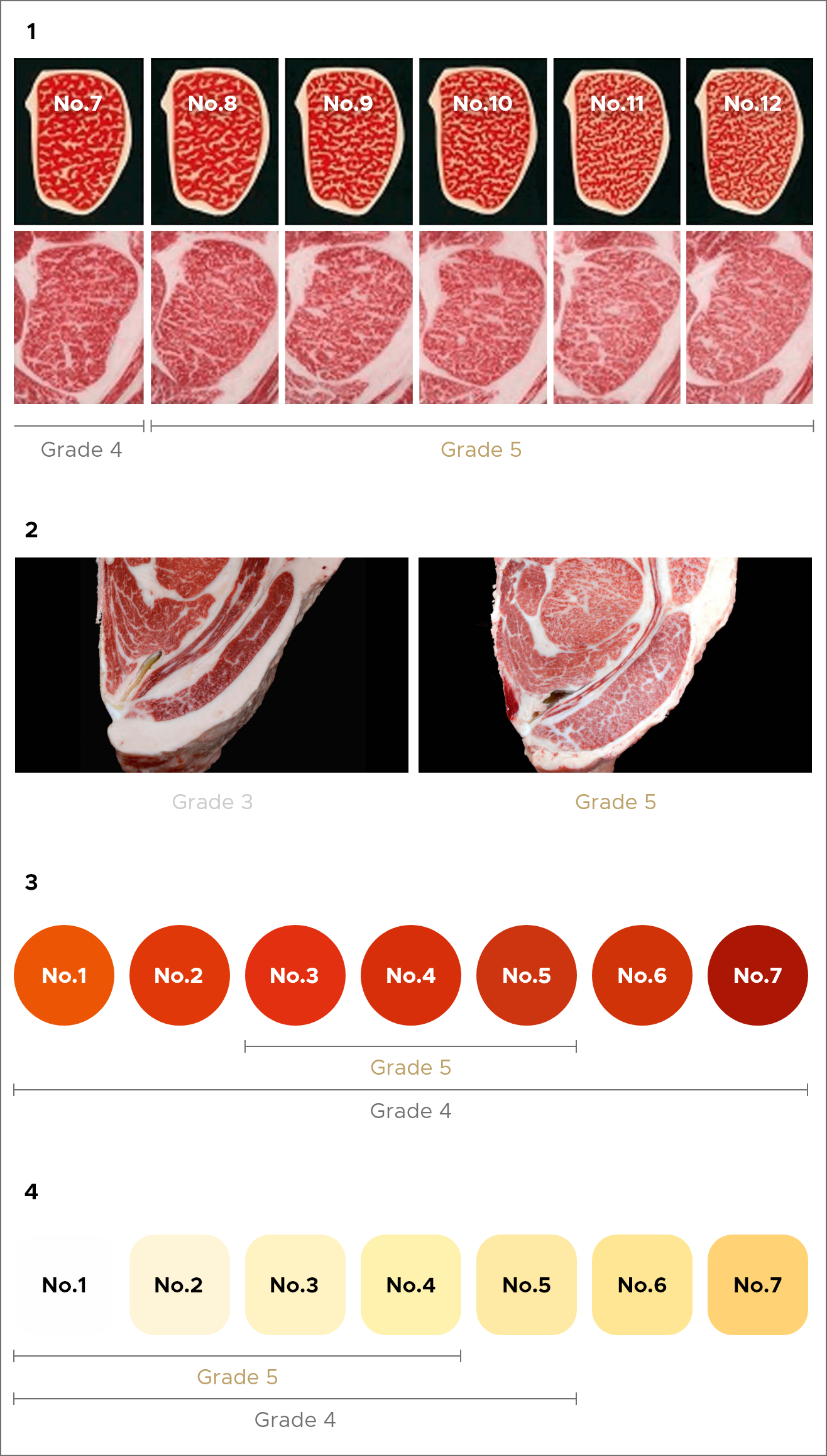 city'super Foodie Library